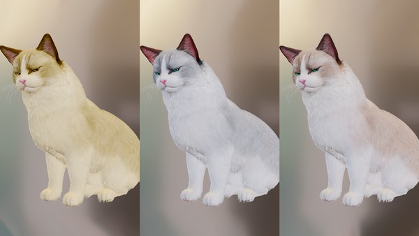 3d model of cat martyn