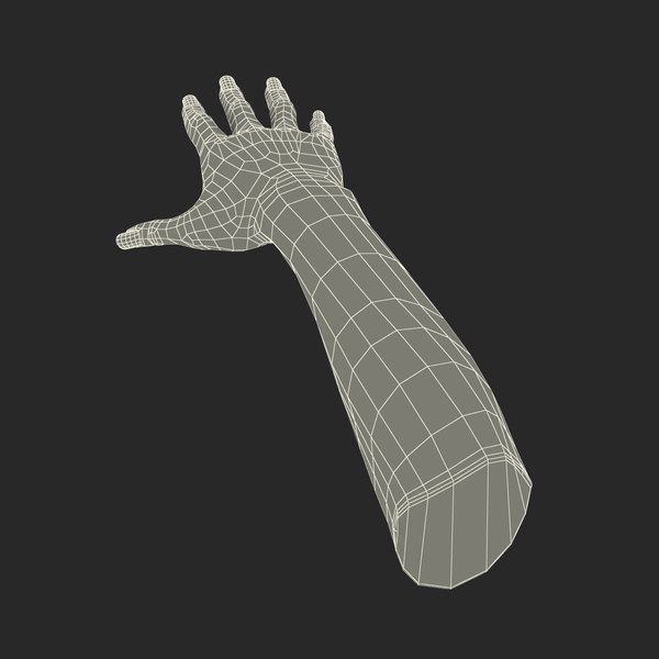 3d female hand model