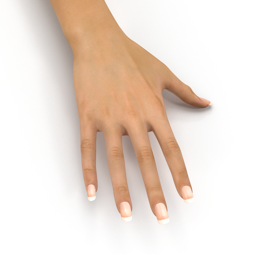 3d female hand model