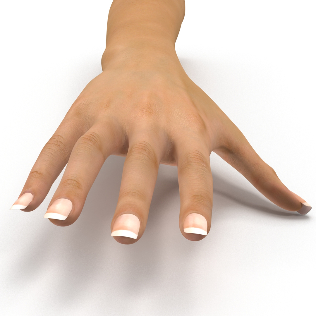3d female hand model