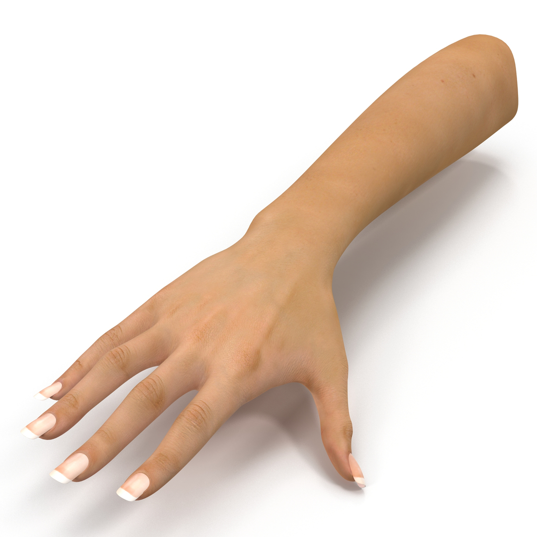 3d female hand model