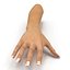 3d Female Hand Model