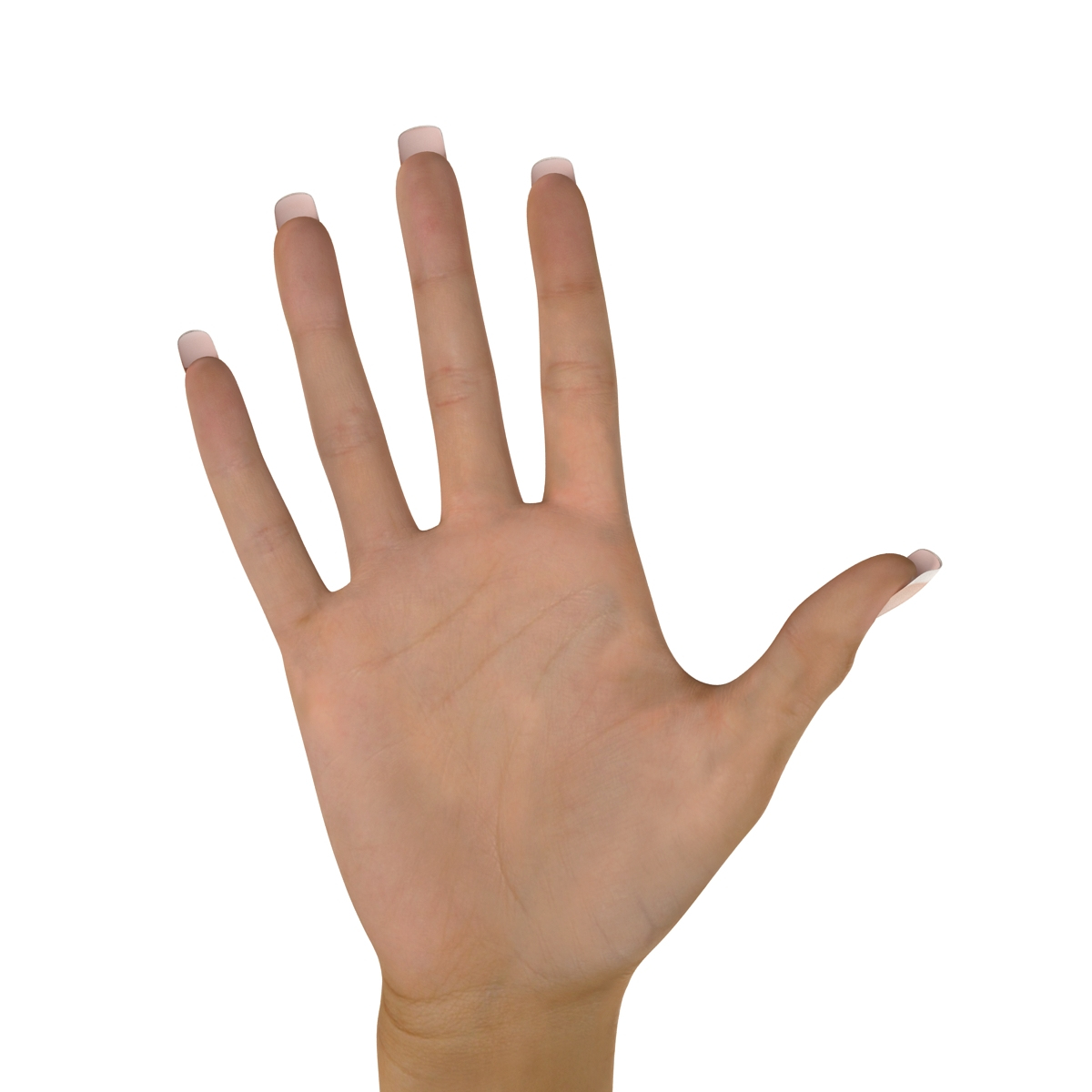 3d female hand model
