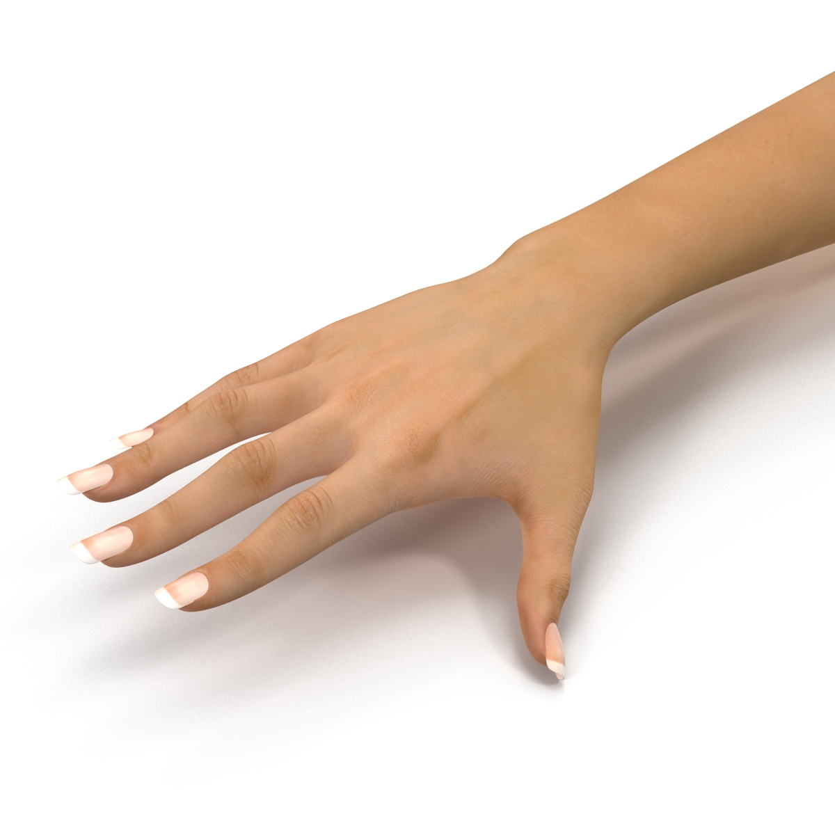 3d female hand model