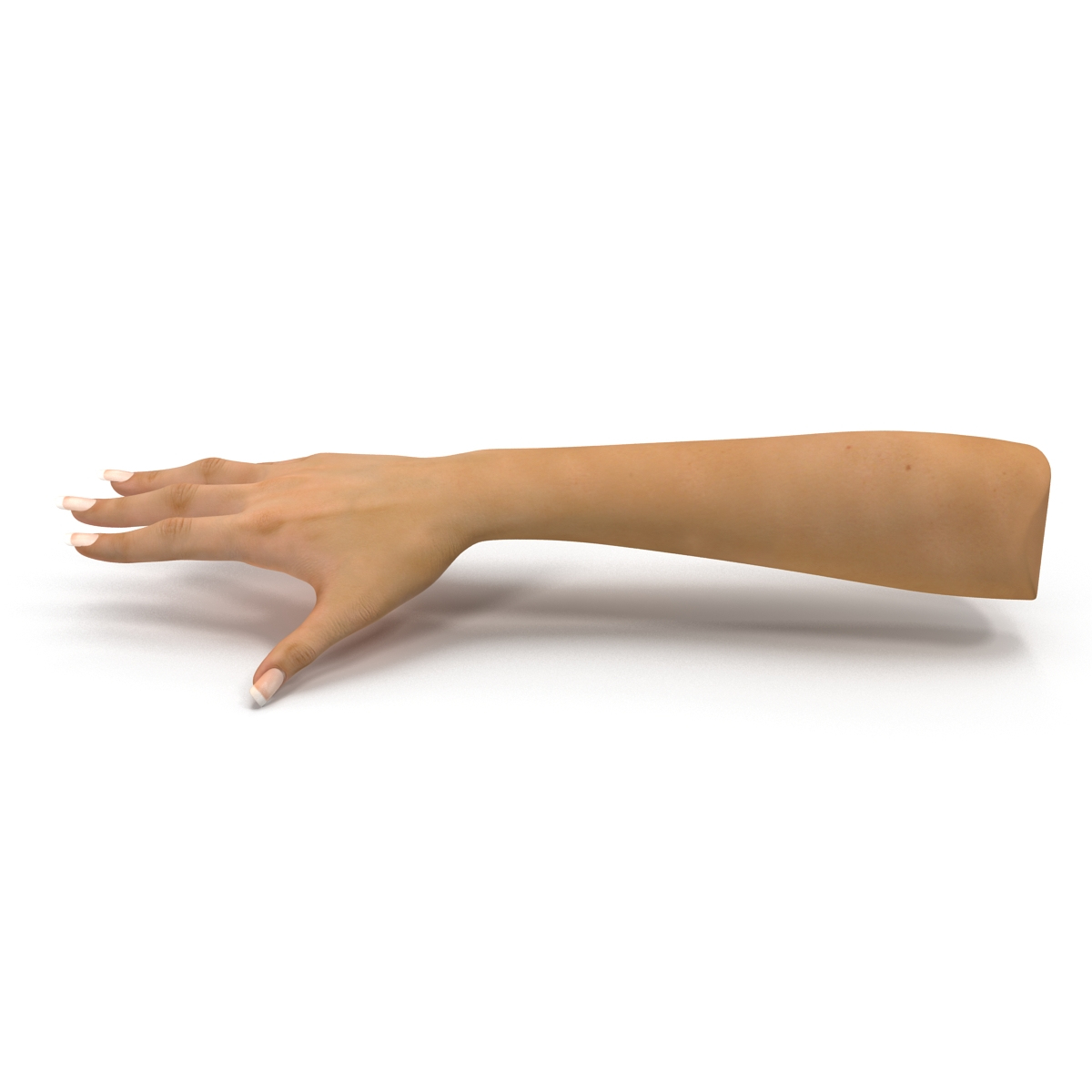 3d female hand model
