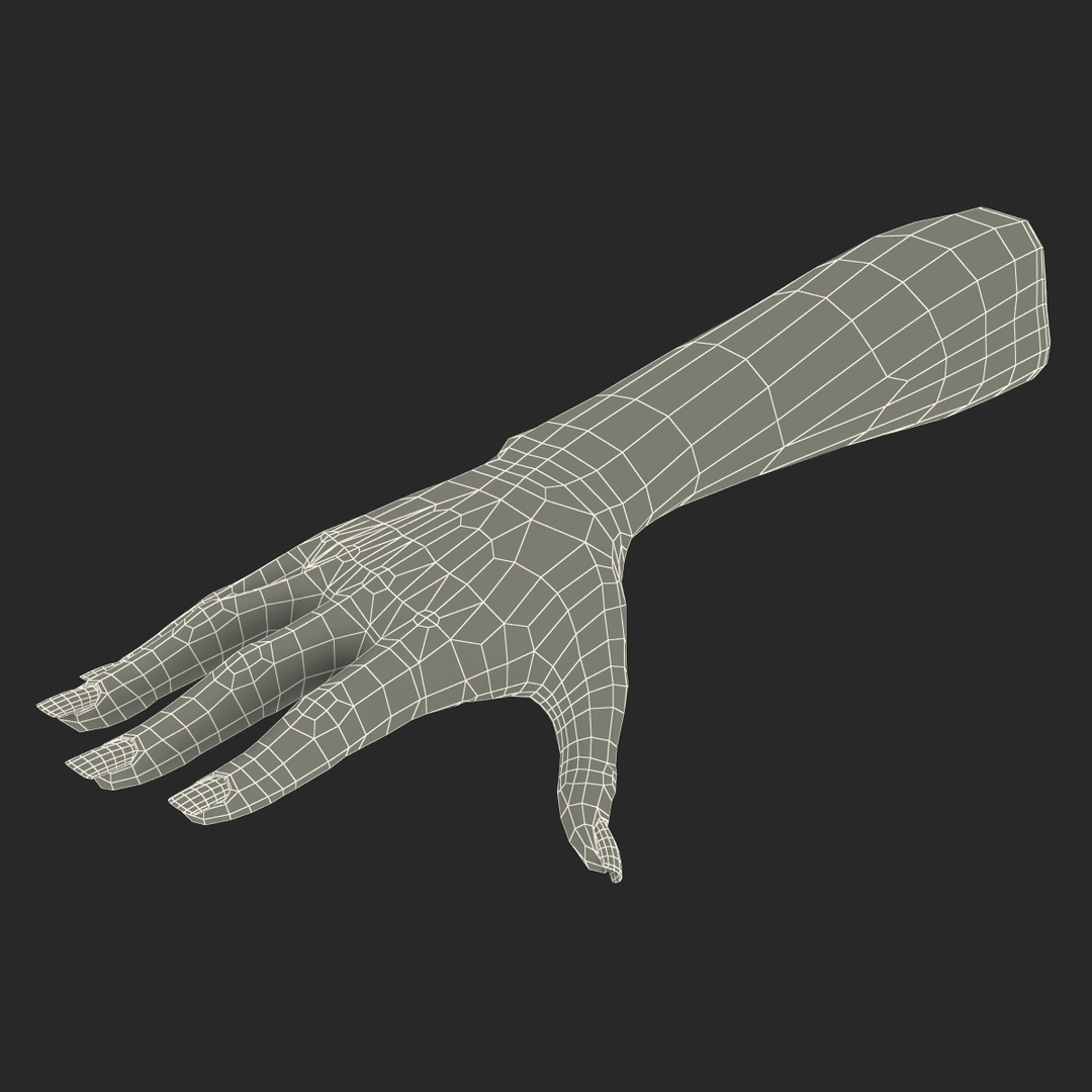 3d female hand model