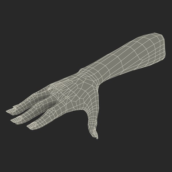 3d female hand model