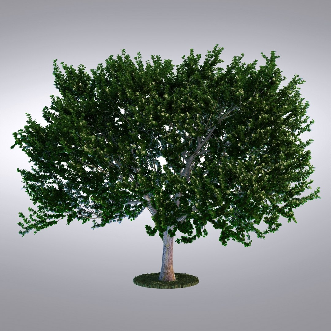 hi realistic series tree 3d model