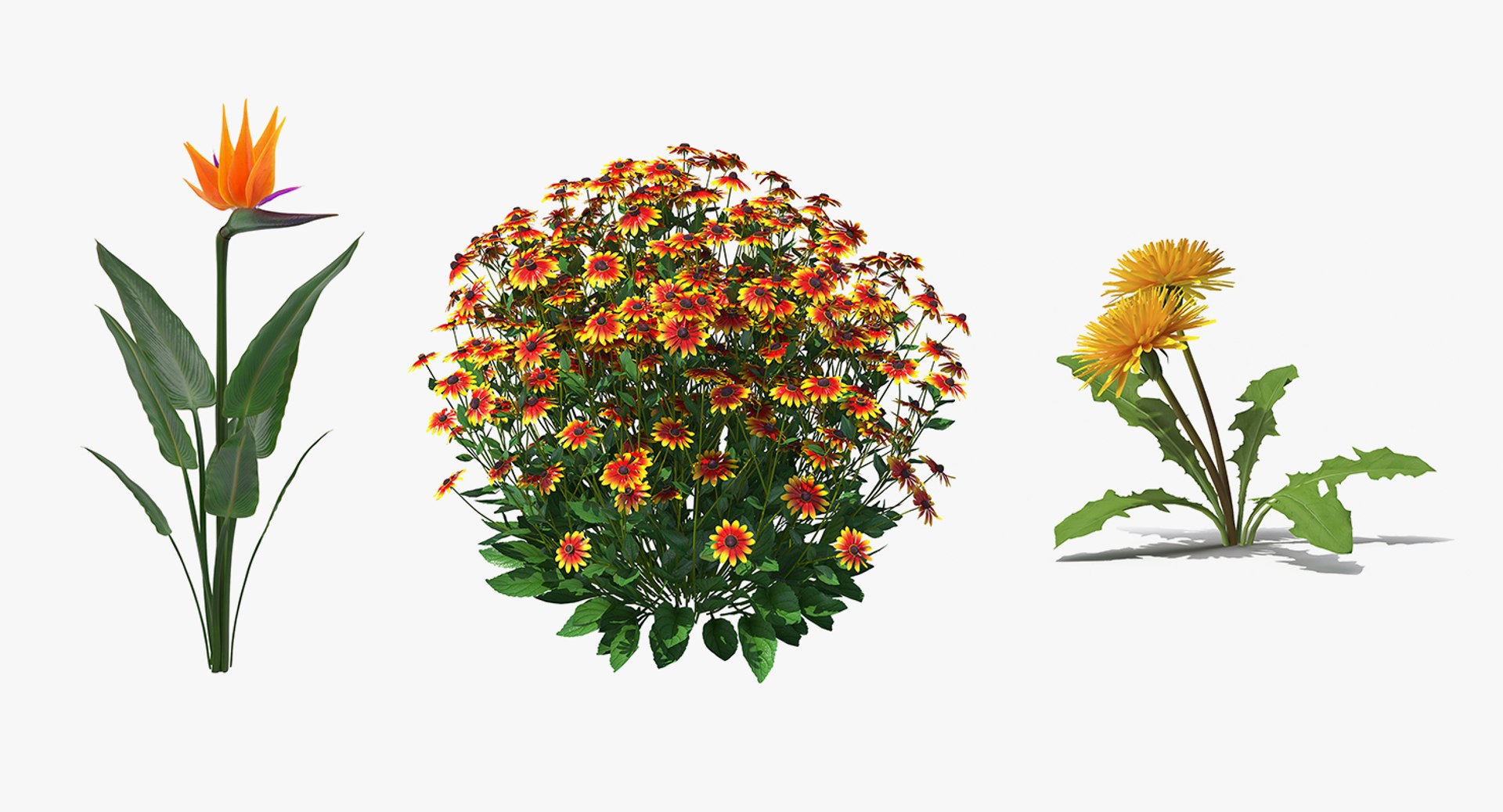 3D Plants Flowering - TurboSquid 1599043