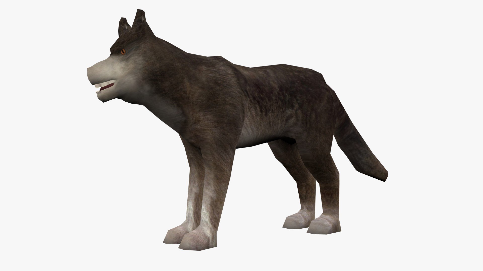 3d Rigged Wolf