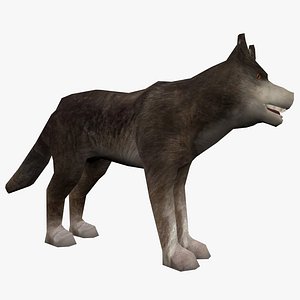 Gray Wolf 3D Models for Download | TurboSquid