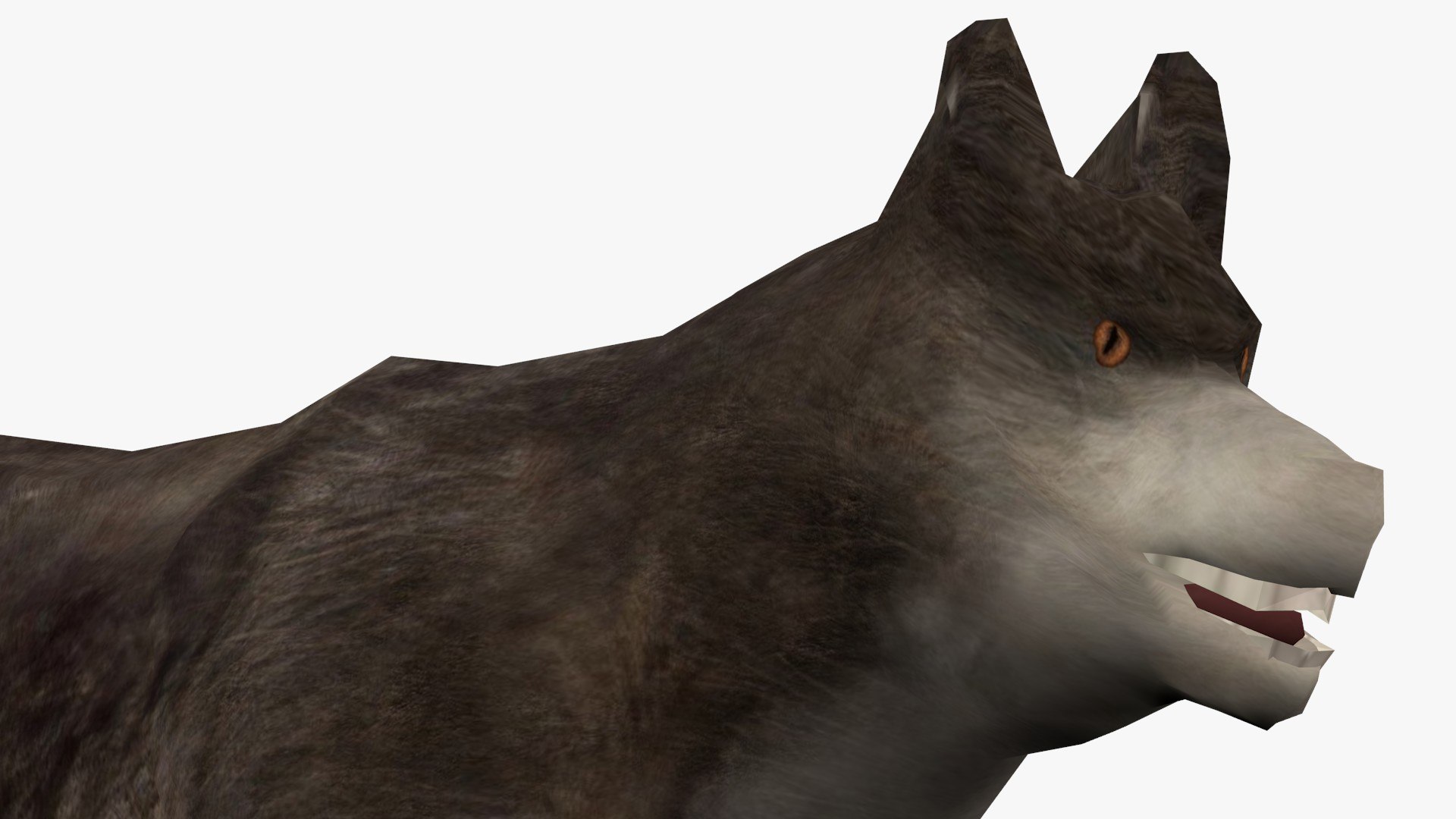 3d Rigged Wolf