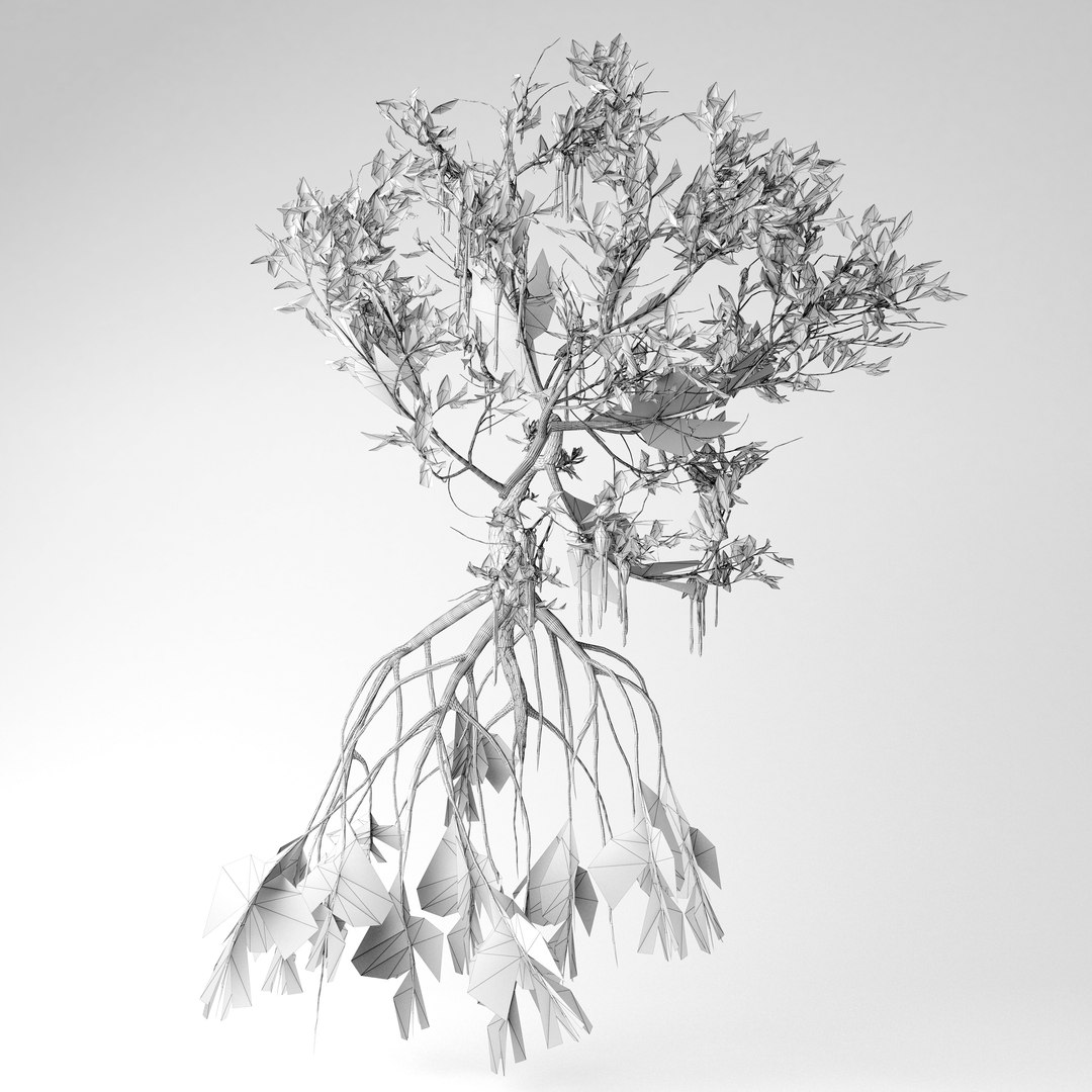 Mangrove Tree 3D Model - TurboSquid 1517907