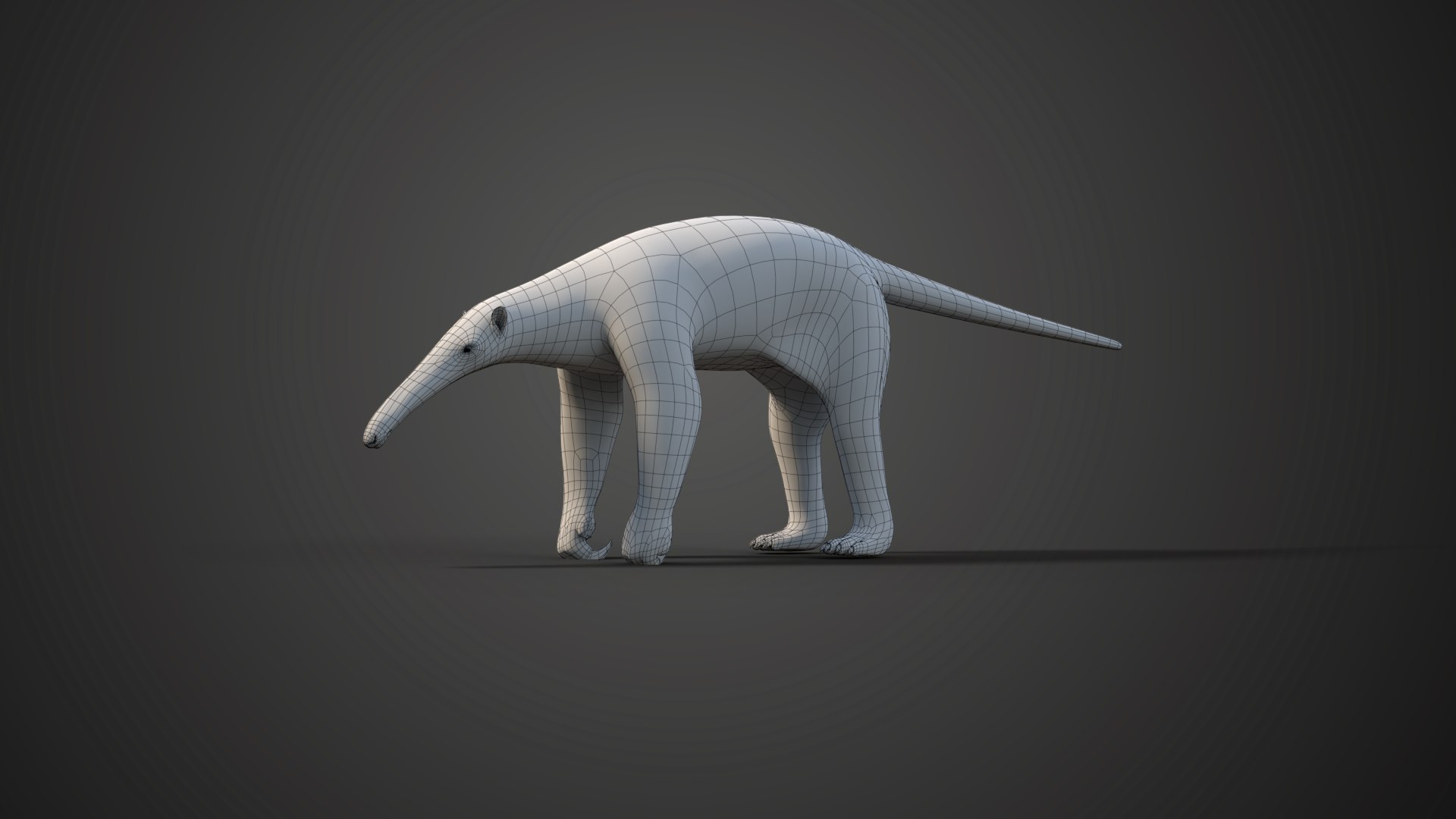 Anteater Animal Mammal 3D Model - TurboSquid 1666822