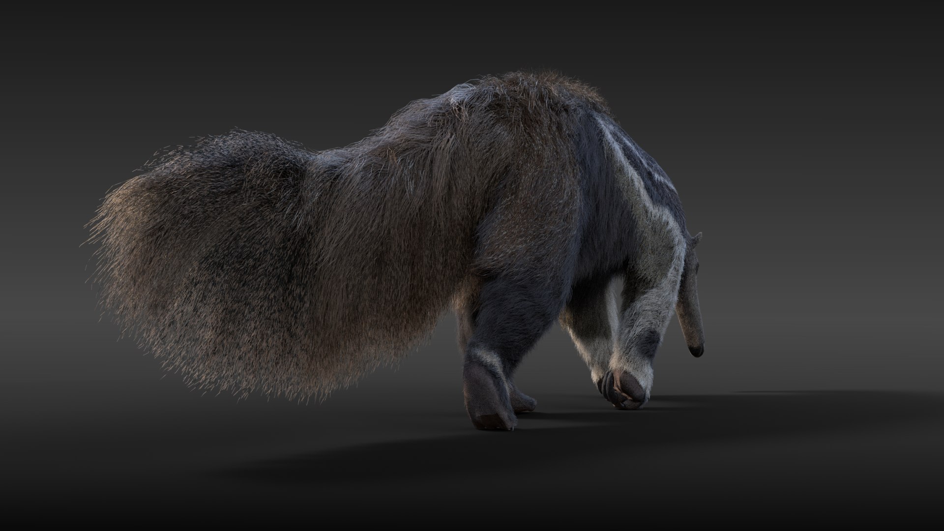 Anteater Animal Mammal 3D Model - TurboSquid 1666822