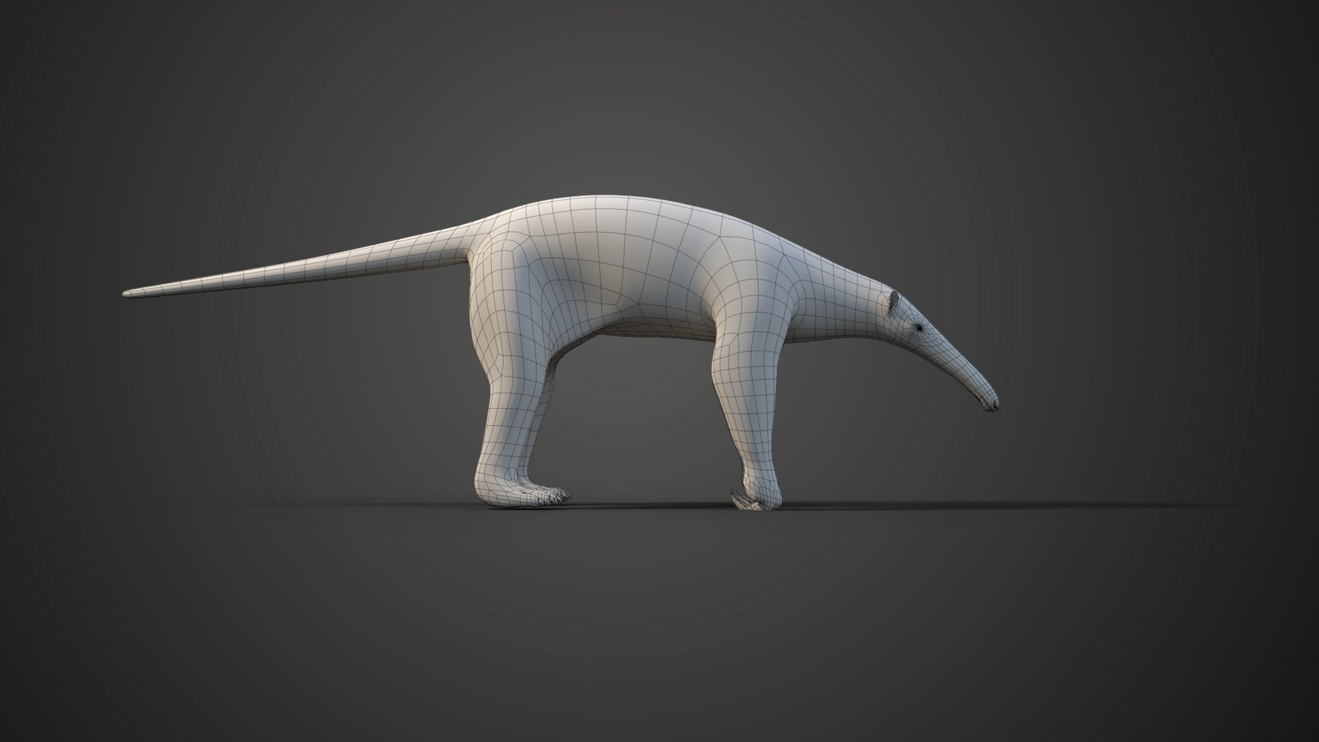 Anteater Animal Mammal 3D Model - TurboSquid 1666822