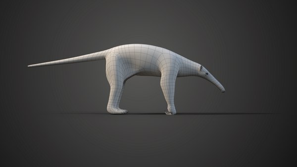 Anteater animal mammal 3D model - TurboSquid 1666822