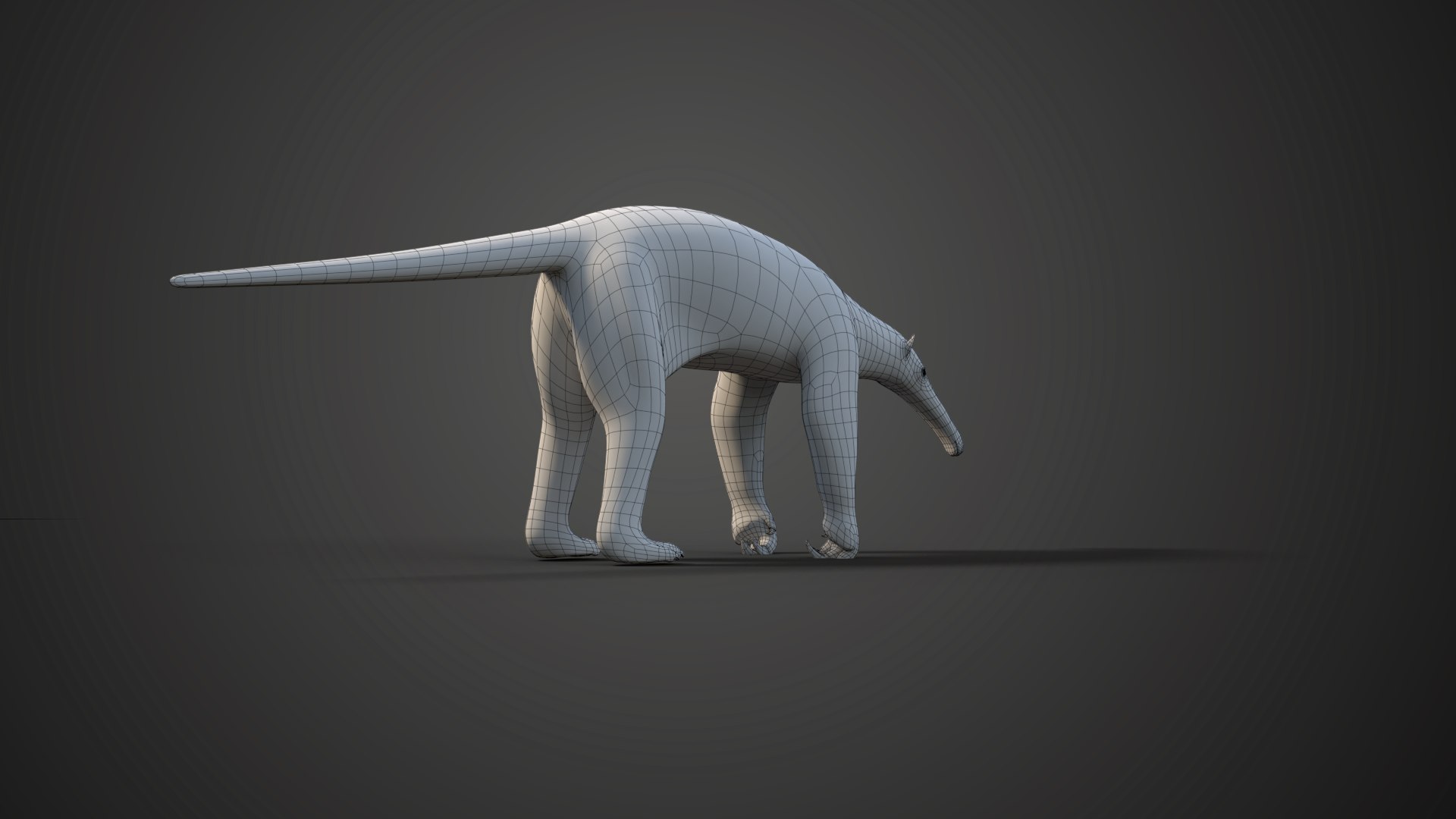 Anteater Animal Mammal 3D Model - TurboSquid 1666822
