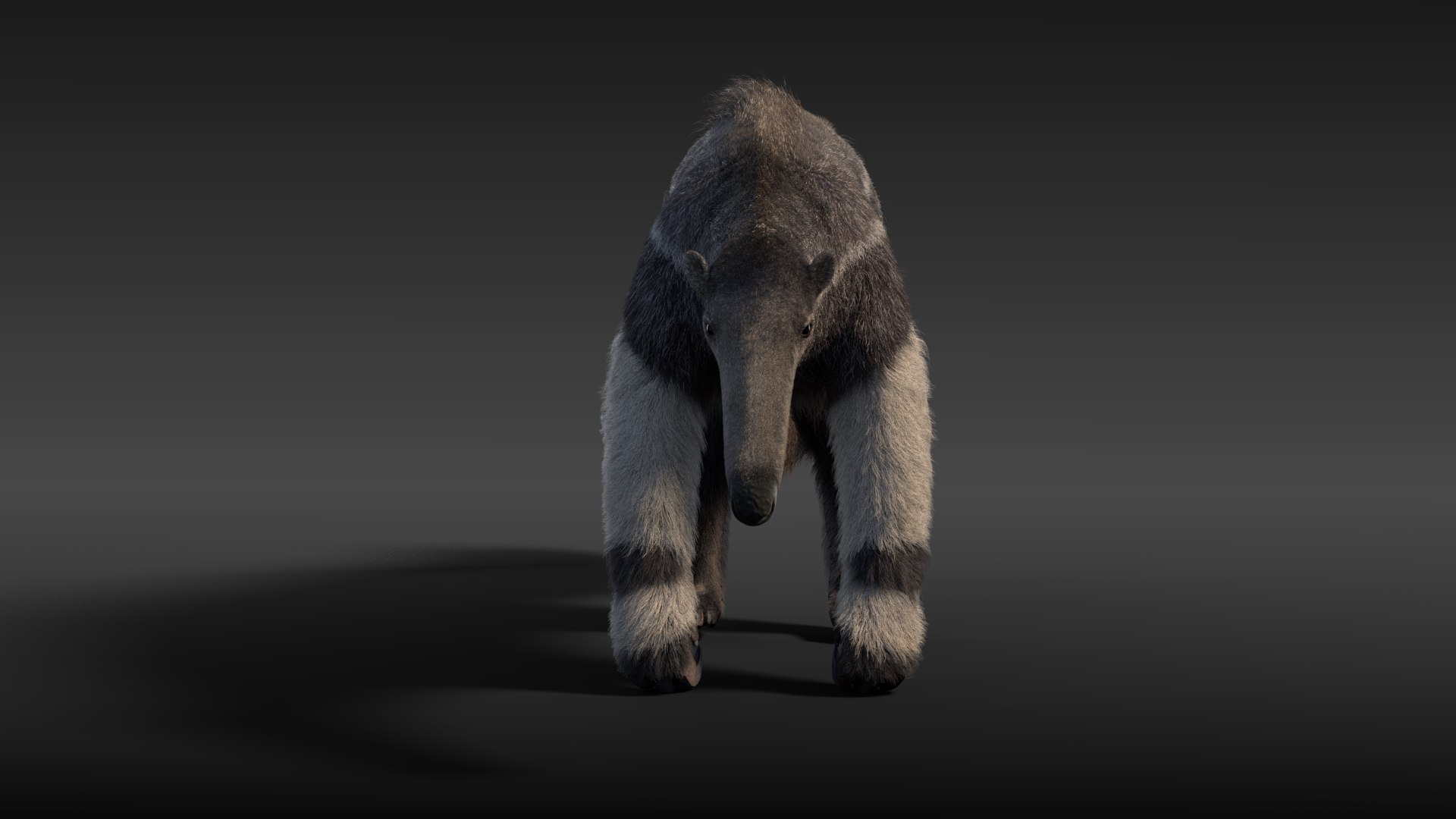 Anteater Animal Mammal 3D Model - TurboSquid 1666822