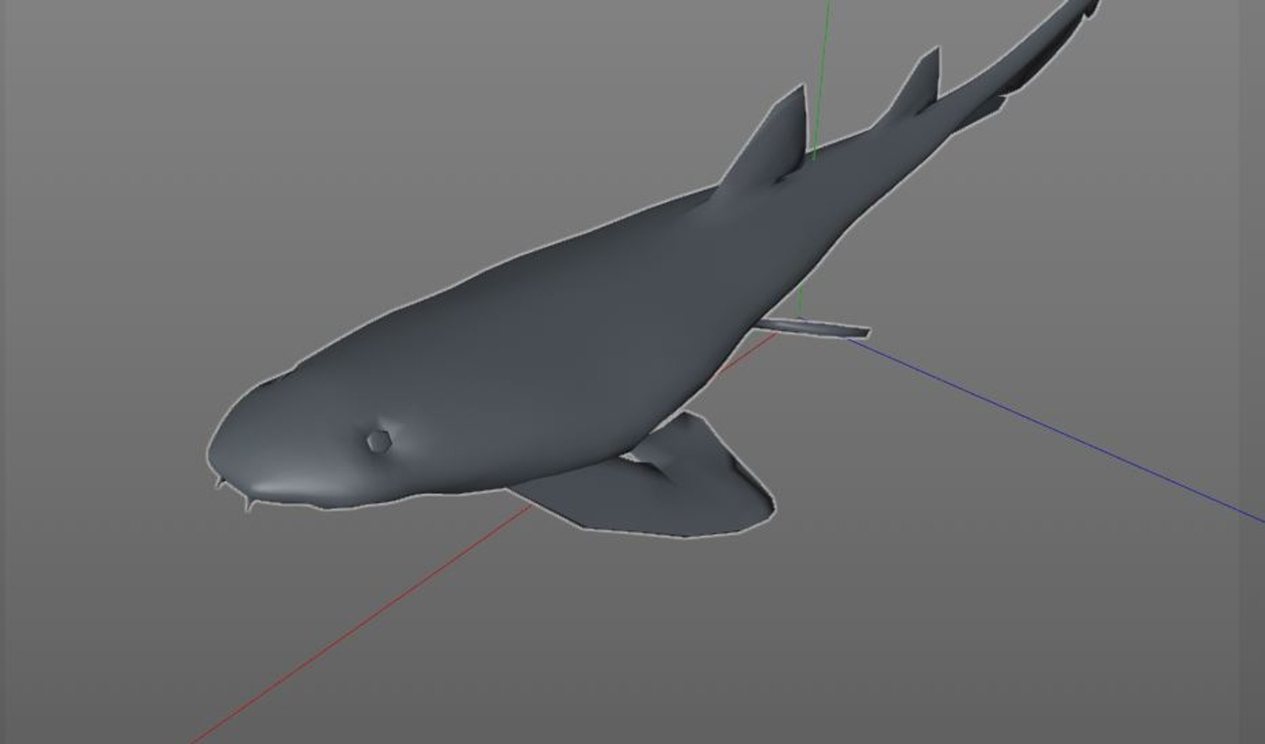Free Shark 3D Model - TurboSquid 1551943