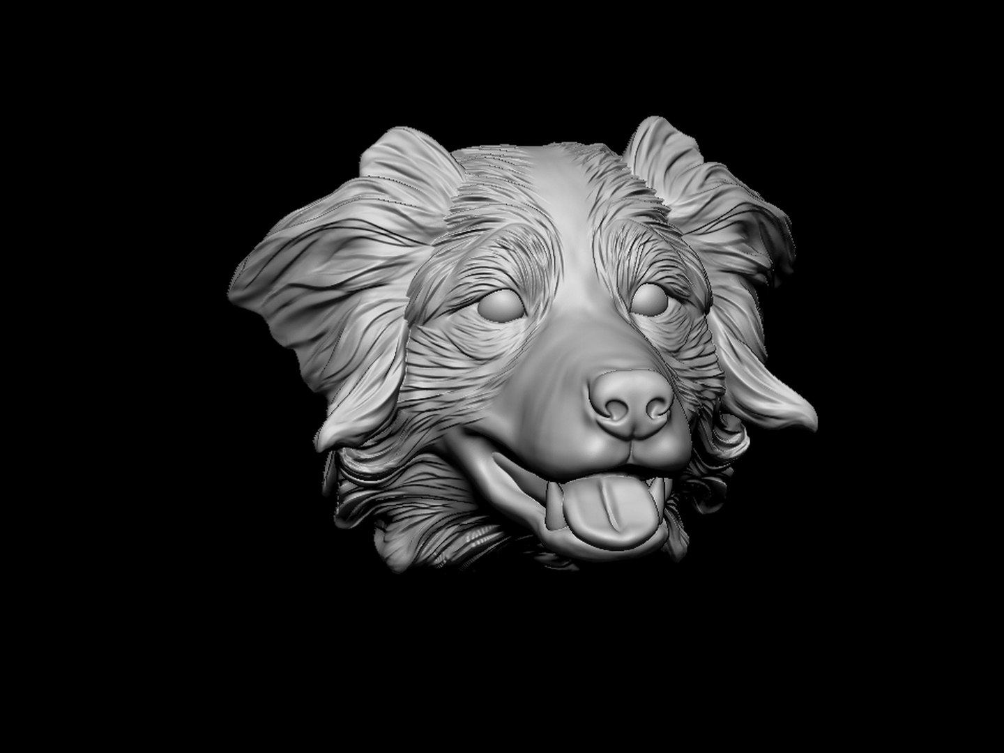 3D Australian Shepherd Readytoprint Model - TurboSquid 1875208