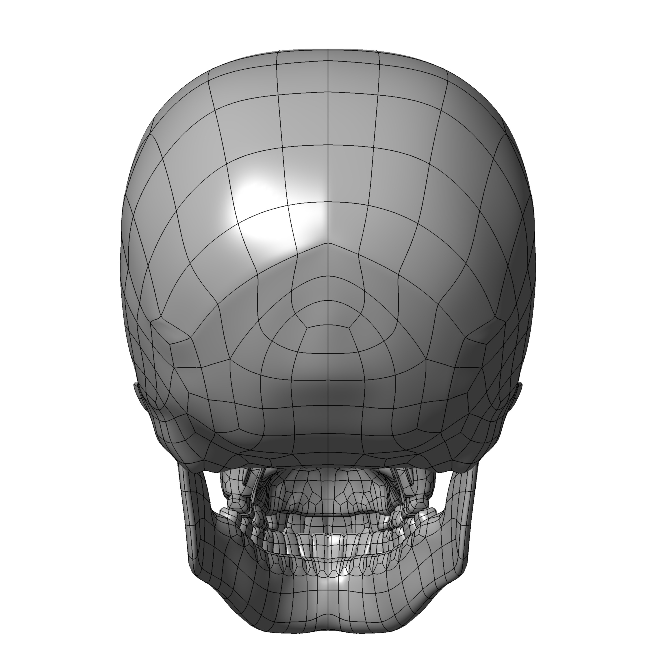 Human skull 3D model - TurboSquid 1402190