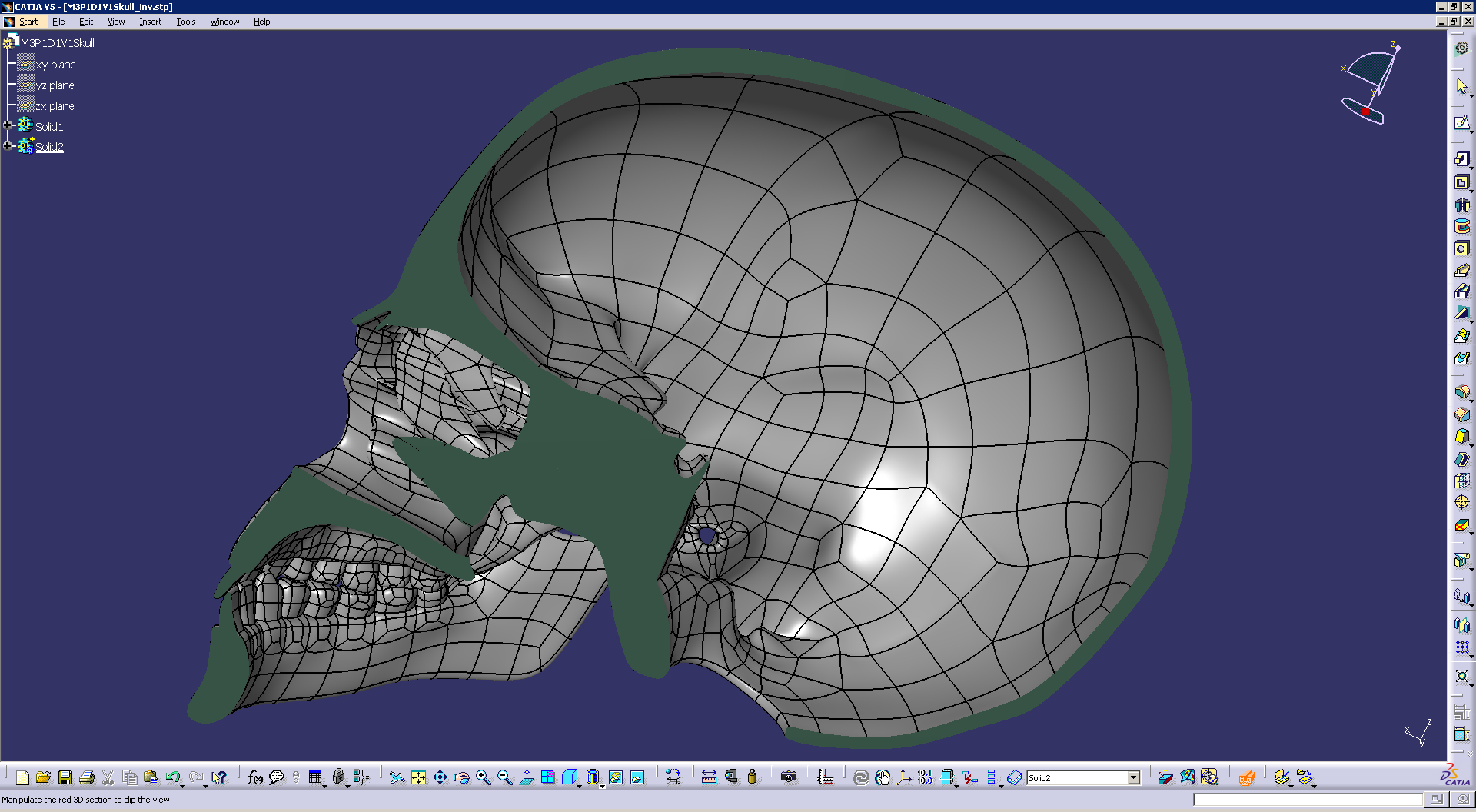 modelo 3d Compatible con CAD Human Skull modelo M3P1D1V1Skull ...