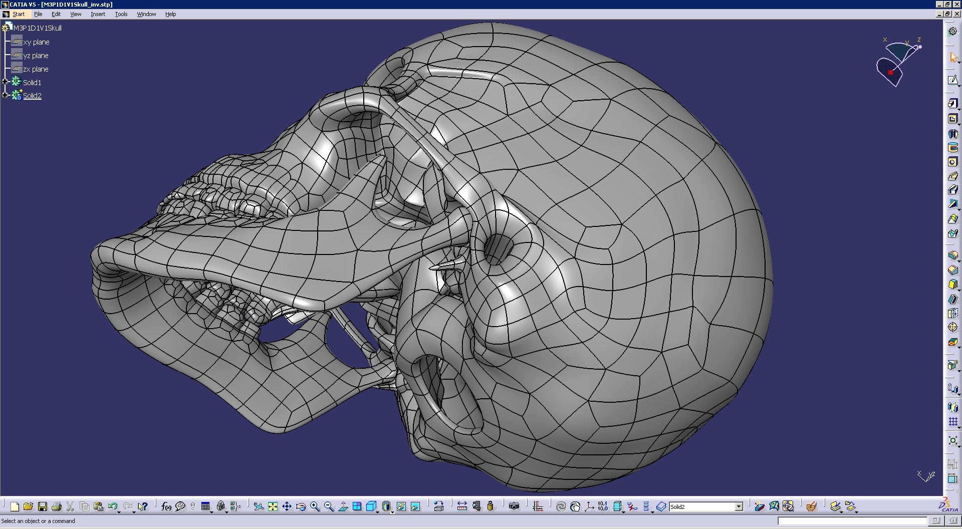 Human Skull 3D Model - TurboSquid 1402190