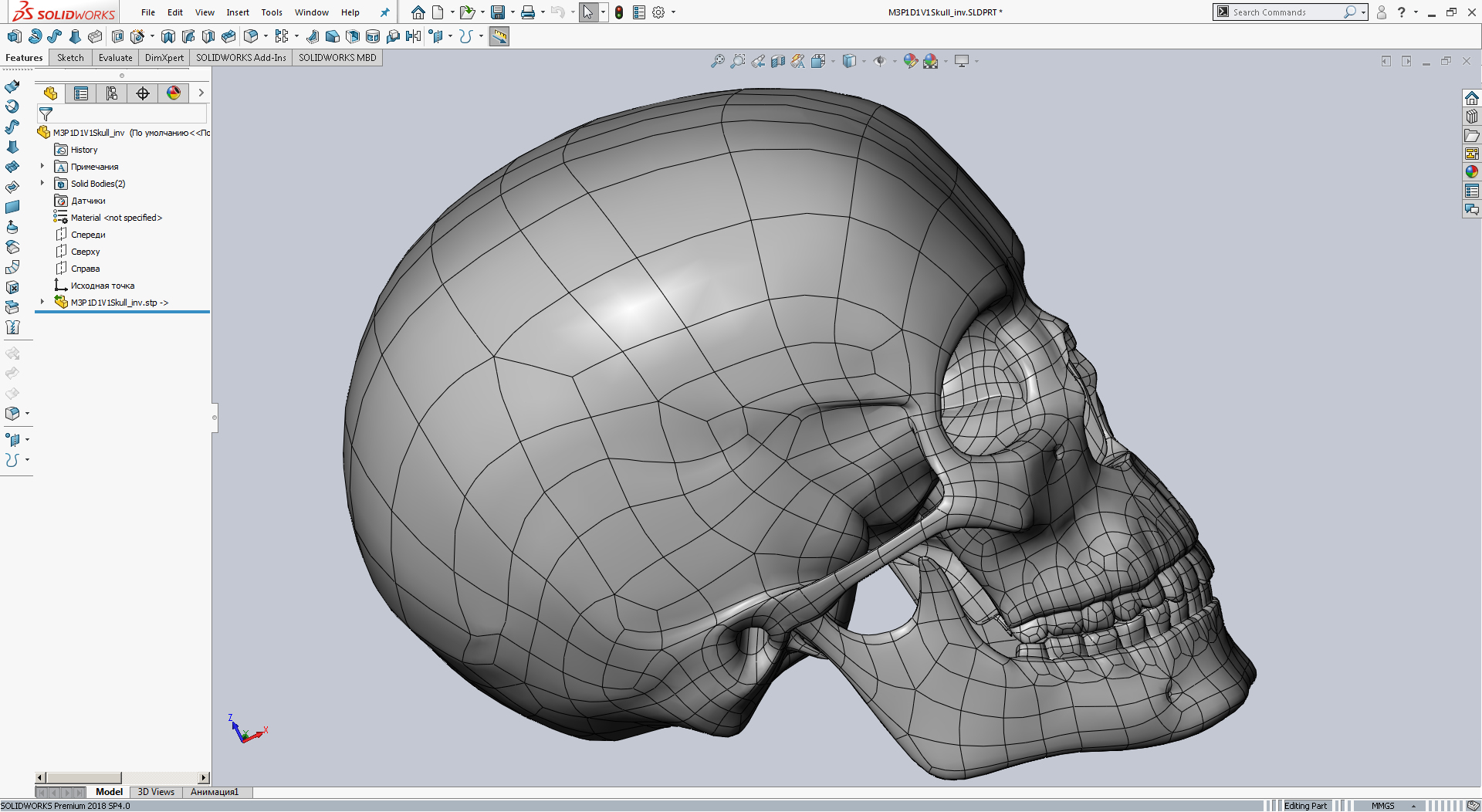 Human skull 3D model - TurboSquid 1402190