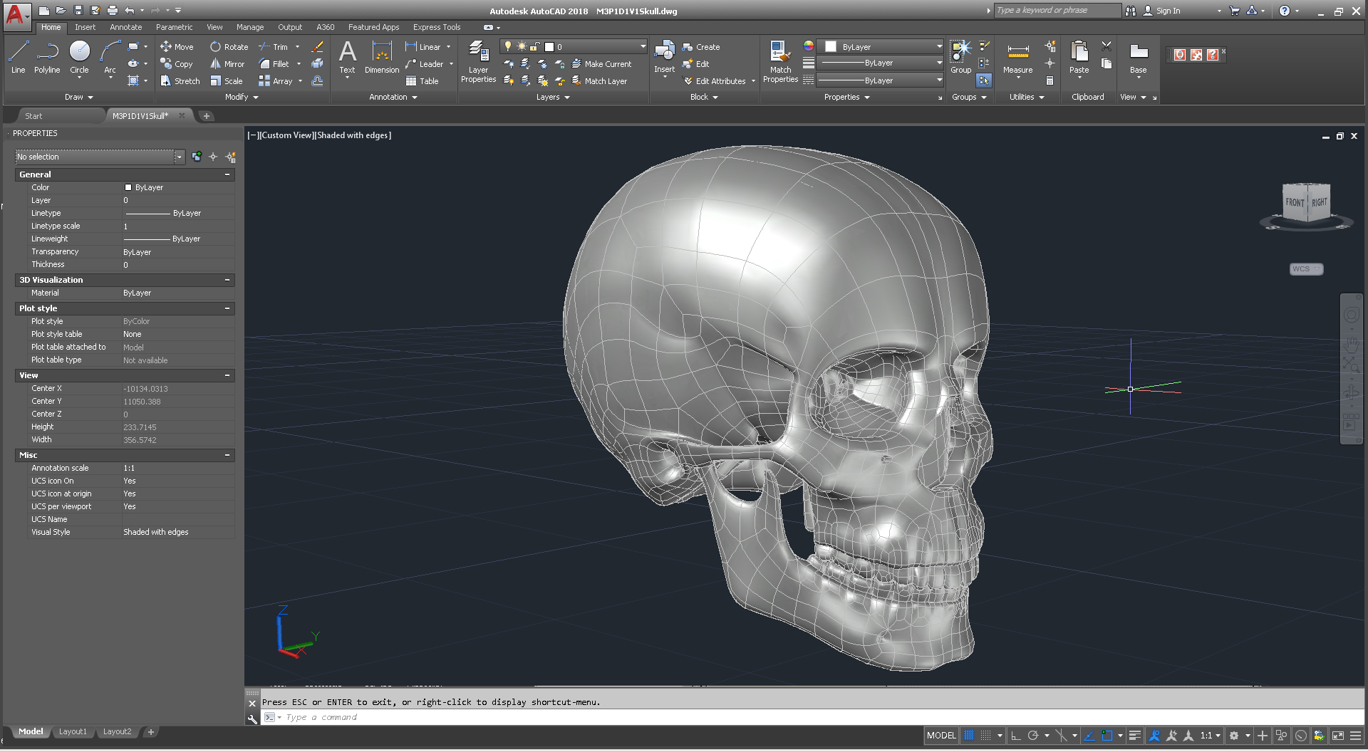 Human skull 3D model - TurboSquid 1402190