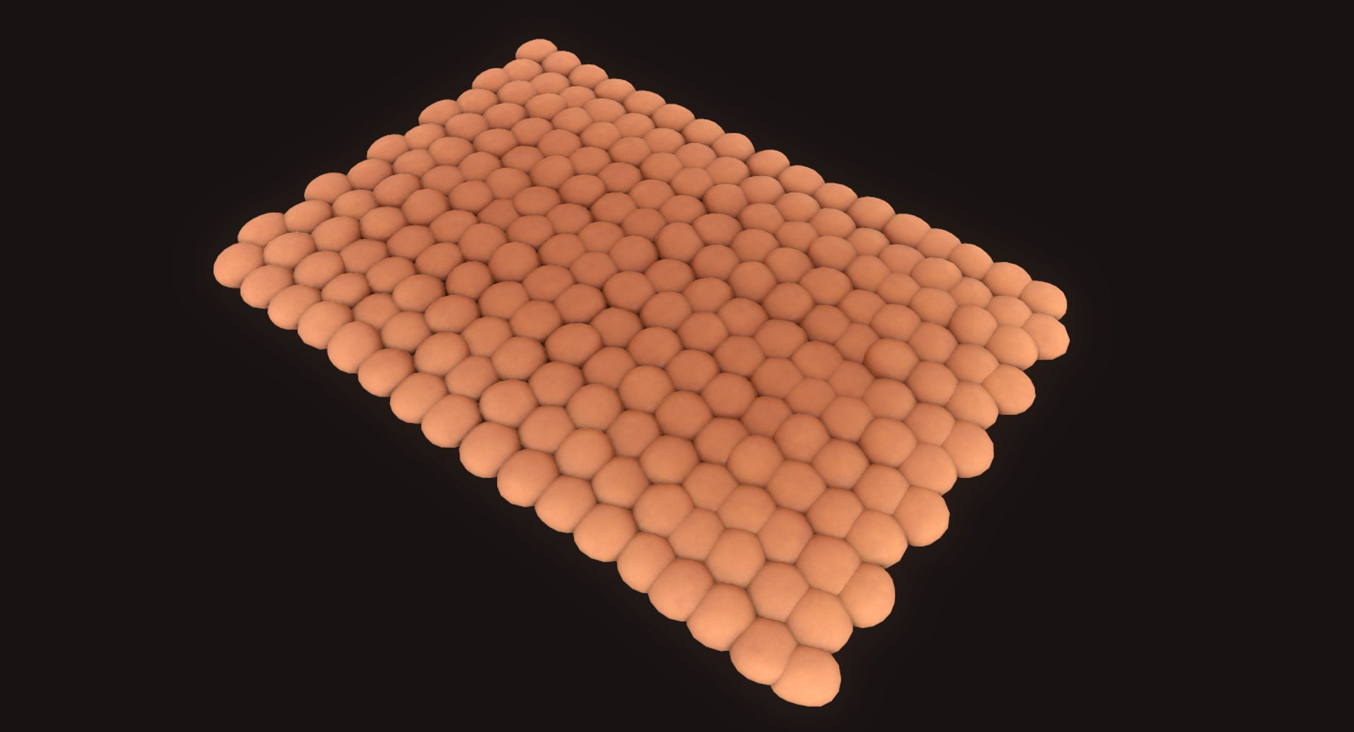 3D Human Skin Anatomy - TurboSquid 1423879