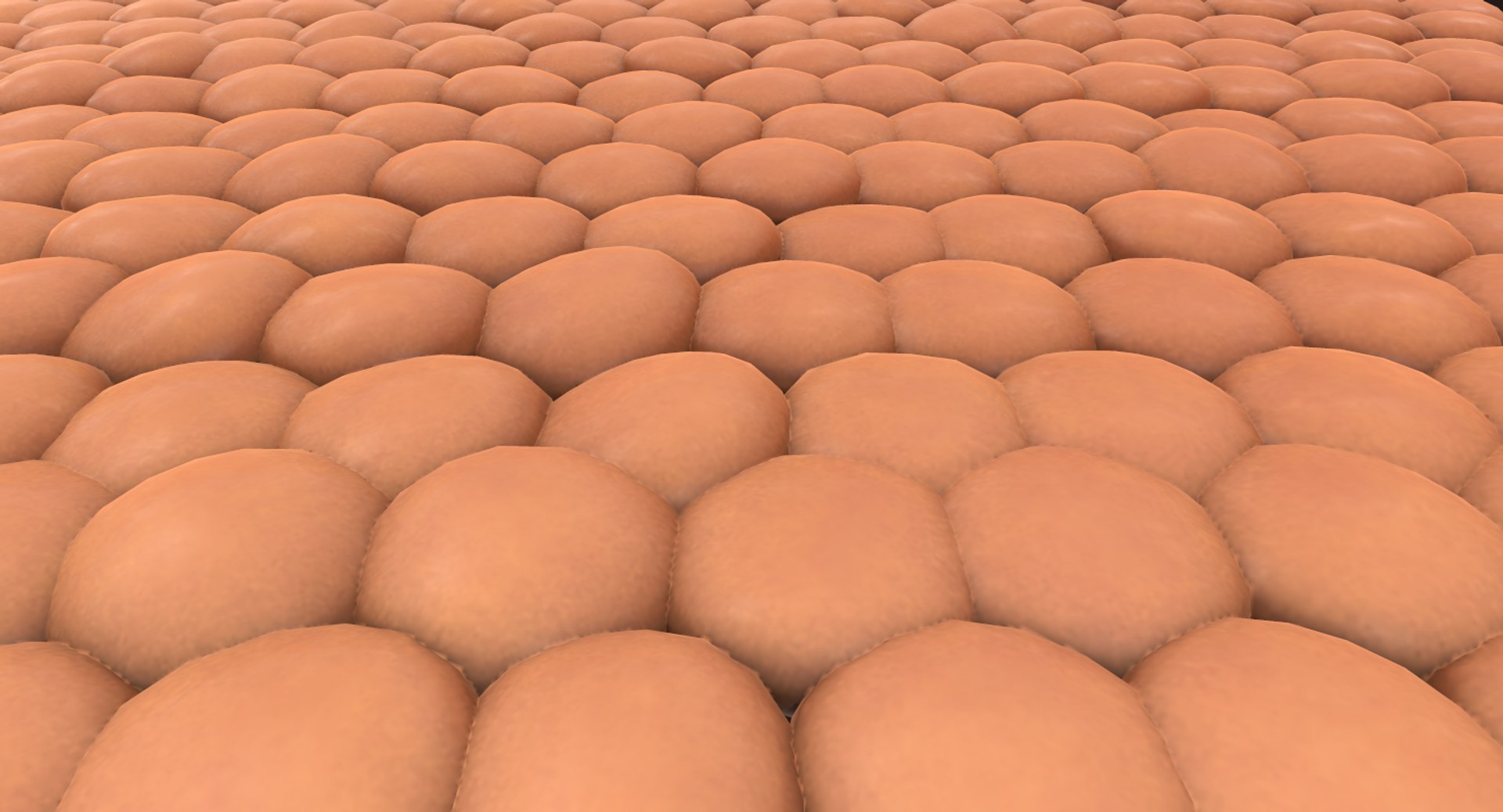 3D Human Skin Anatomy - TurboSquid 1423879