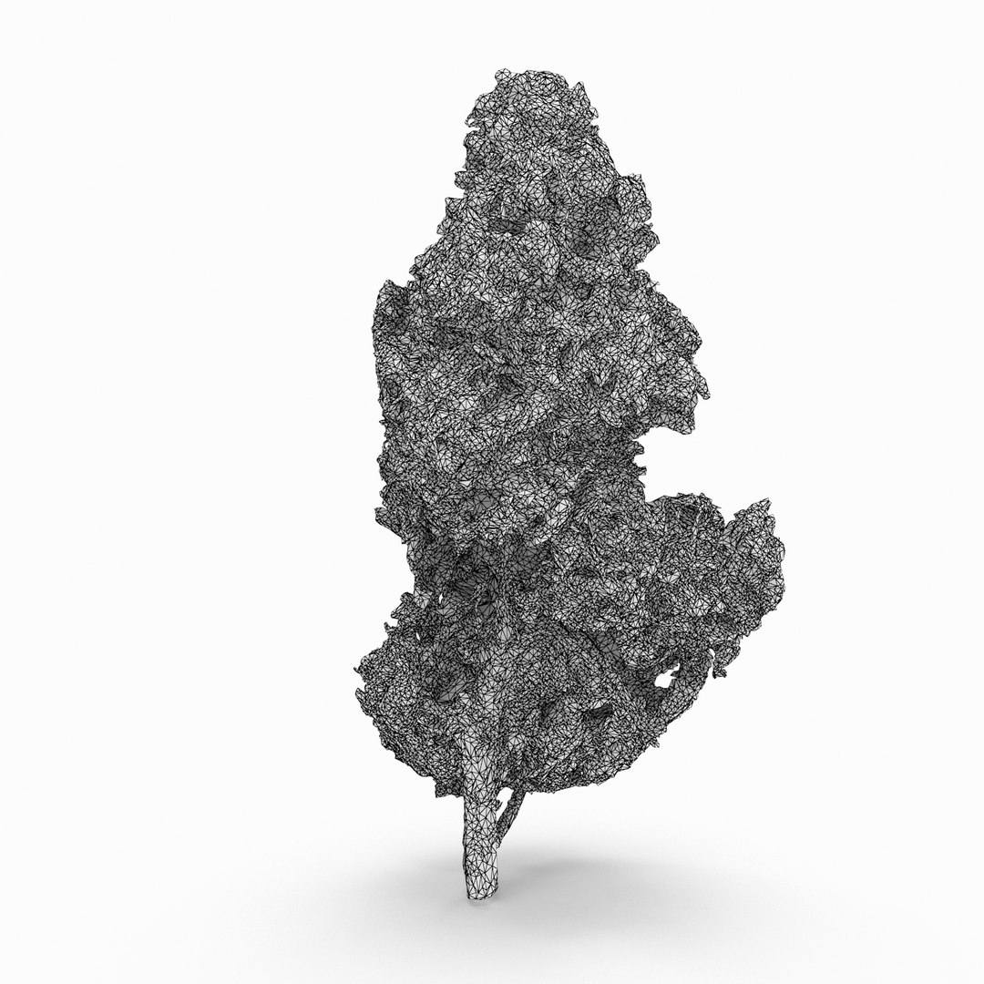 3D Cannabis Bud Model - TurboSquid 1156511