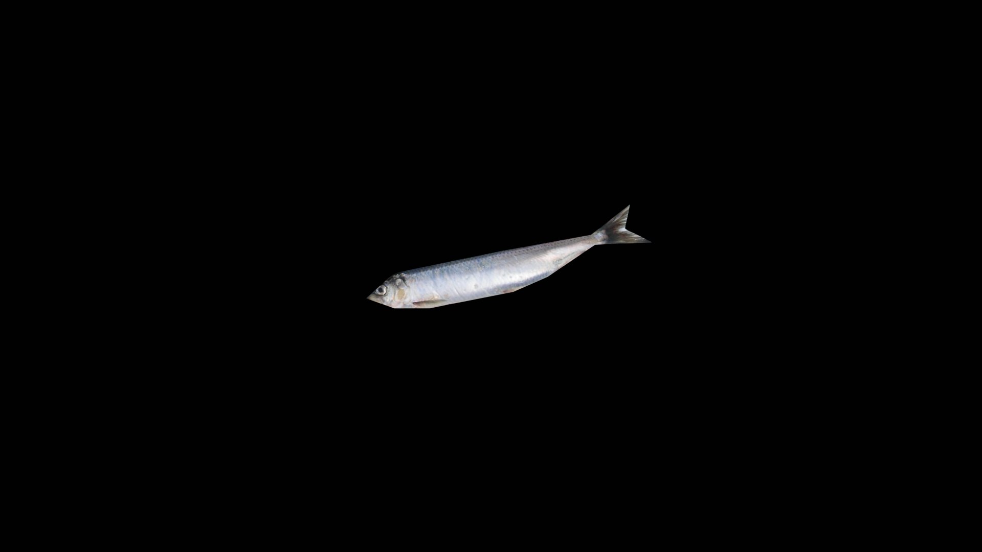3D Fish Low Poly - TurboSquid 2136152