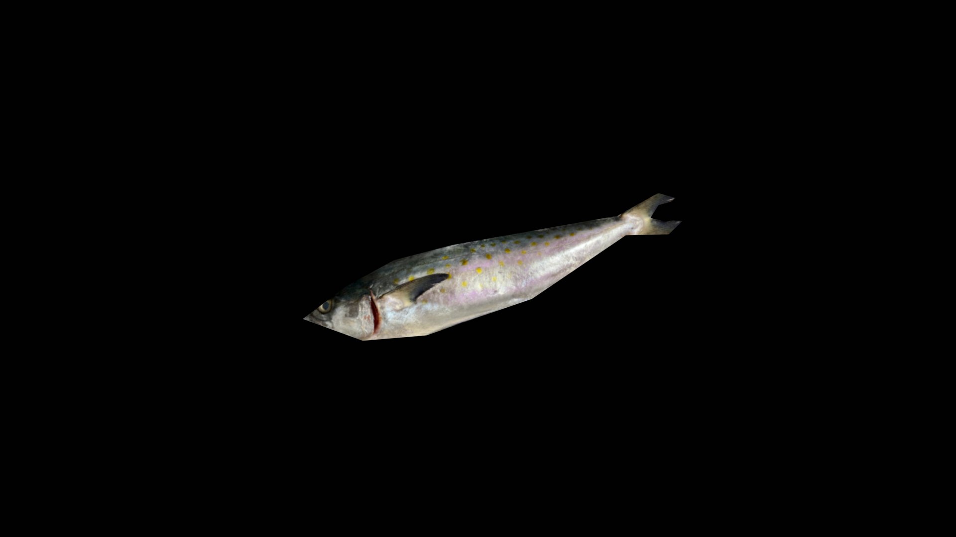 3D Fish Low Poly - TurboSquid 2136152