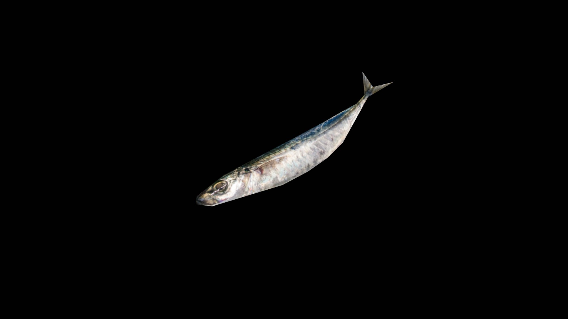 3D Fish Low Poly - TurboSquid 2136152