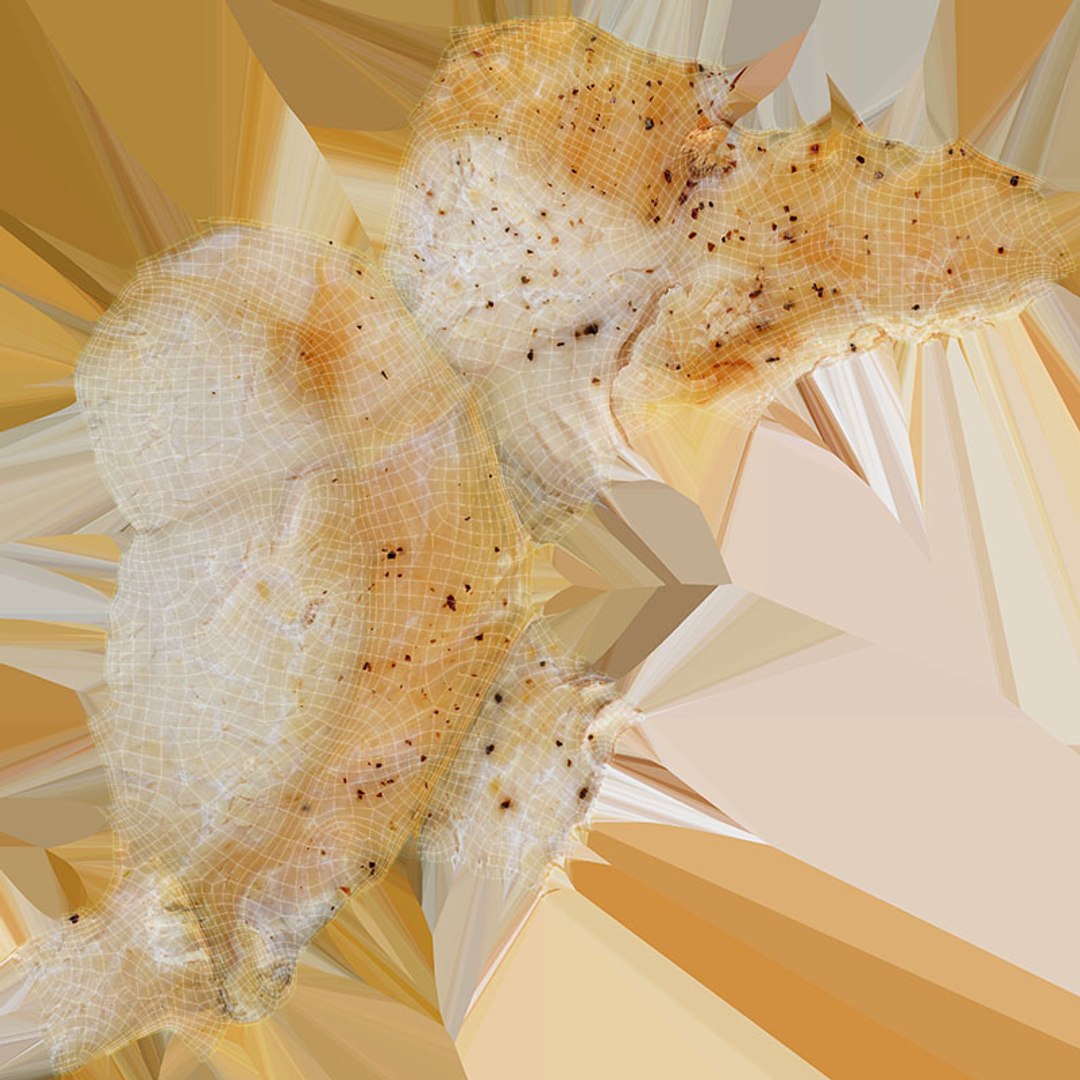 3D Chicken Steak Sliced 01 - TurboSquid 2174946