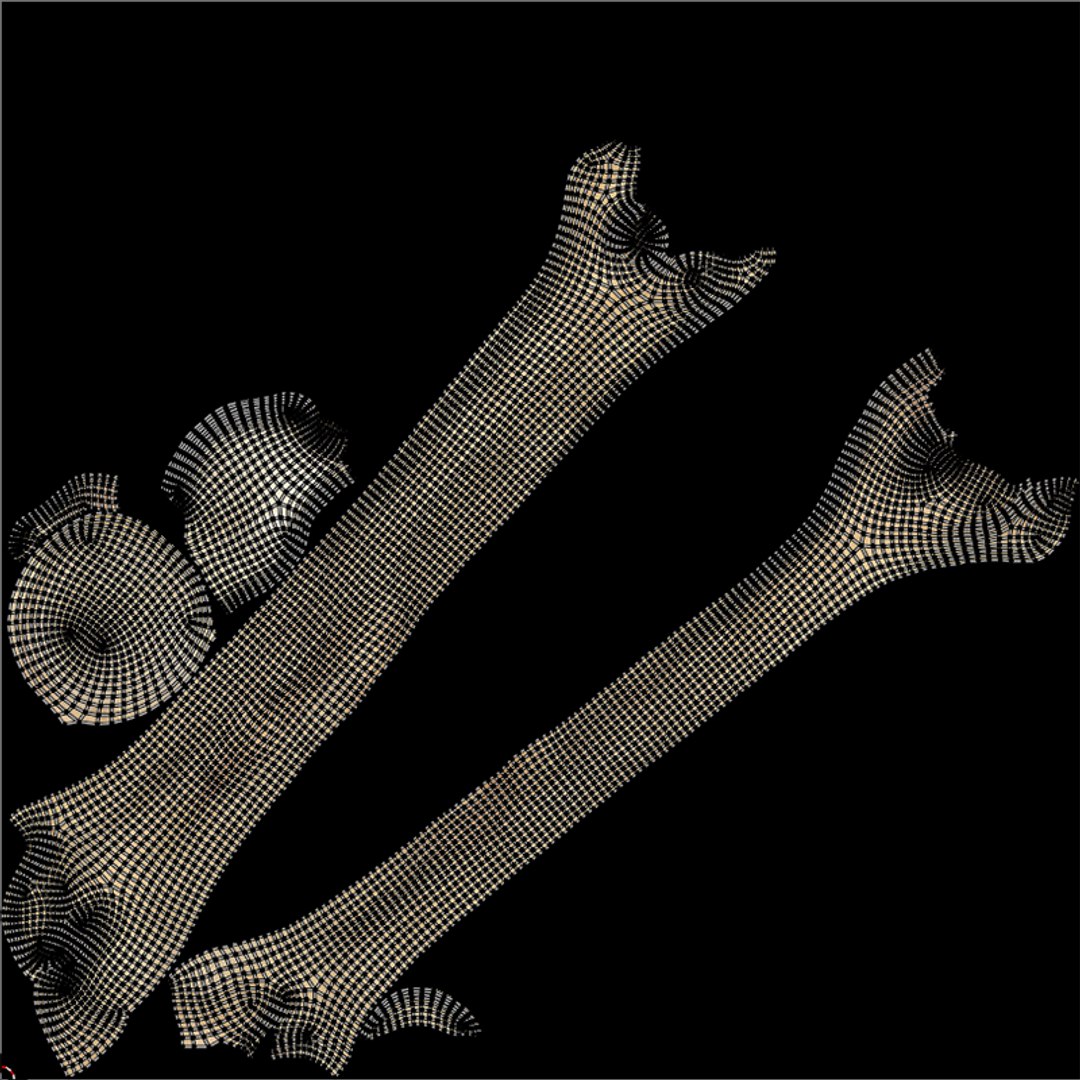 Upper arm bones 3D model - TurboSquid 2181961