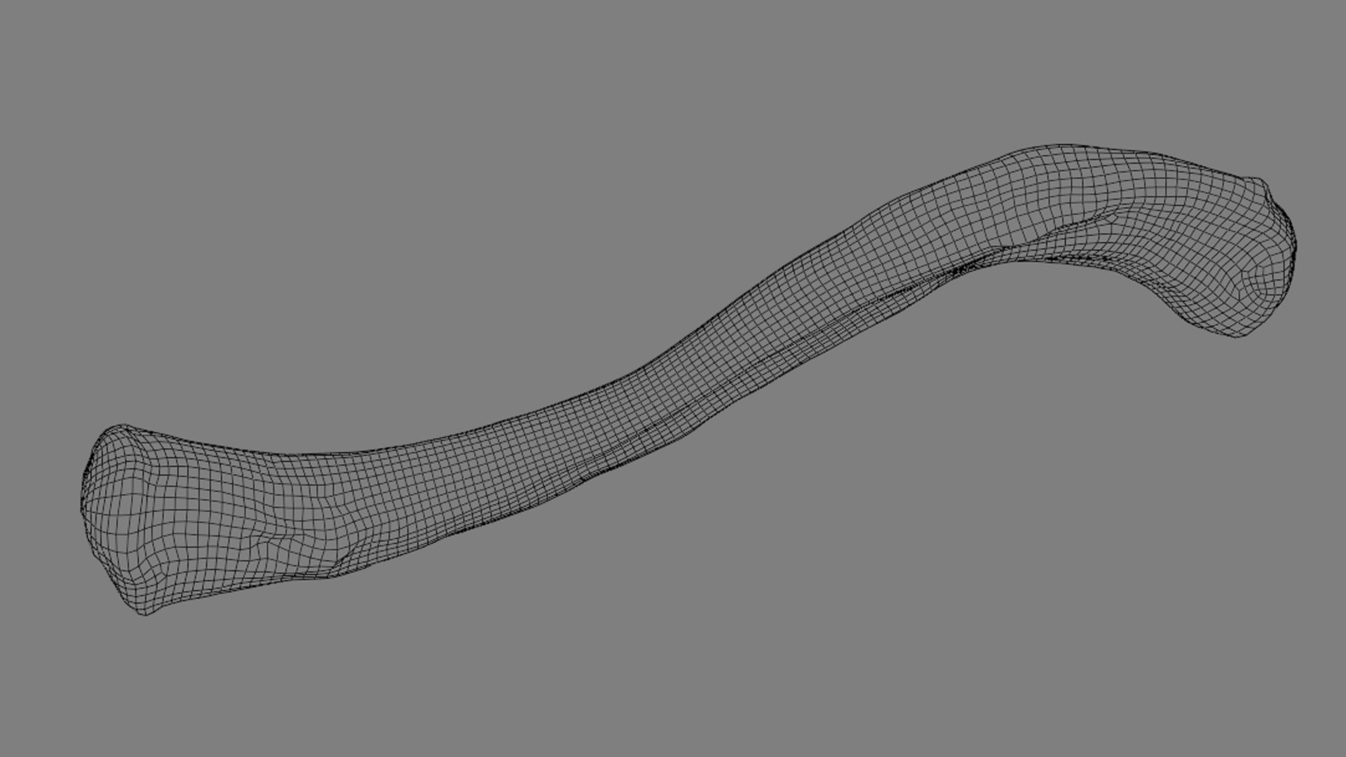 Upper Arm Bones 3D Model - TurboSquid 2181961