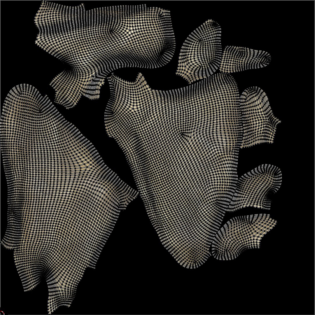 Upper arm bones 3D model - TurboSquid 2181961