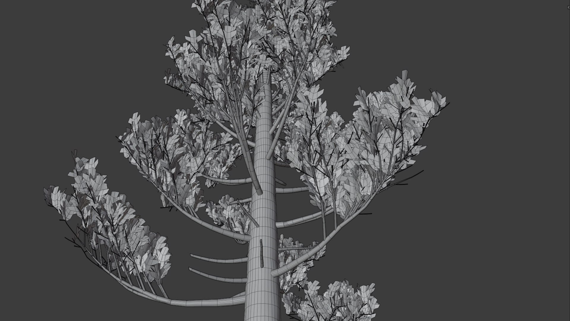 3D Pine Model - TurboSquid 1711403