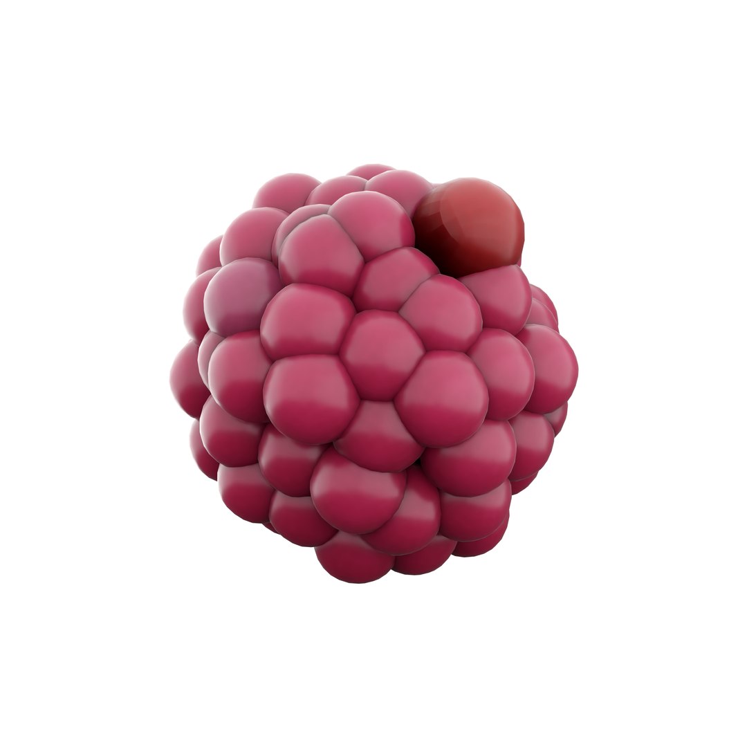 3D Cartoon Raspberry Icon Model - TurboSquid 2044243
