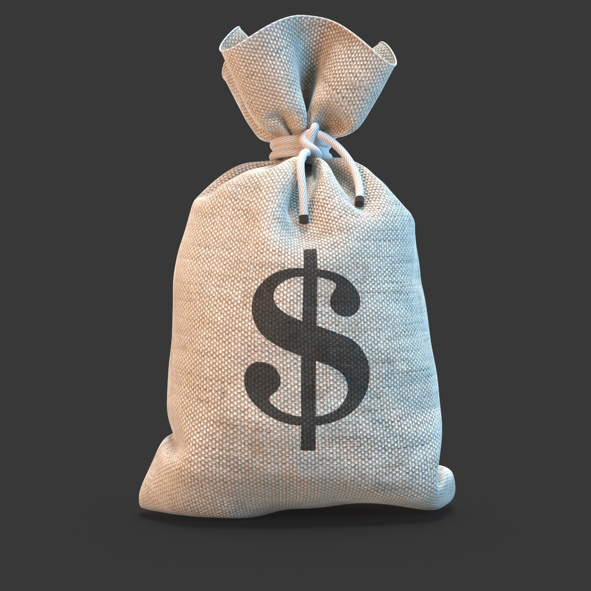money bag 3d max