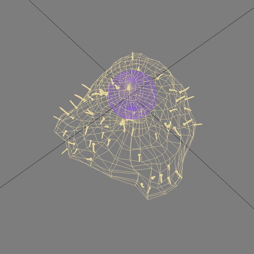 3d microbes micro organisms