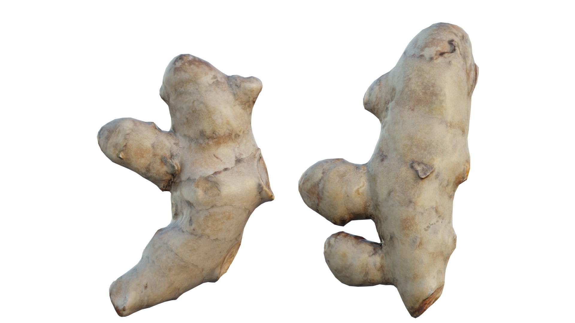 Turmeric Model - TurboSquid 1903310