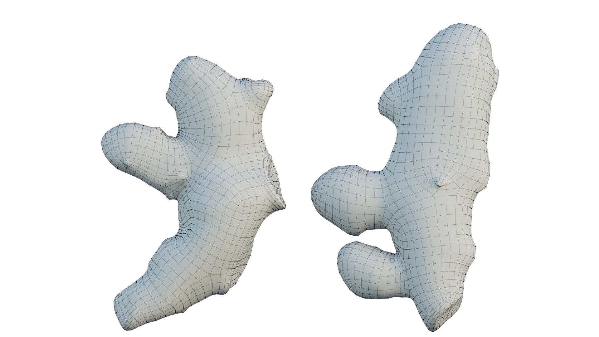 Turmeric Model - TurboSquid 1903310