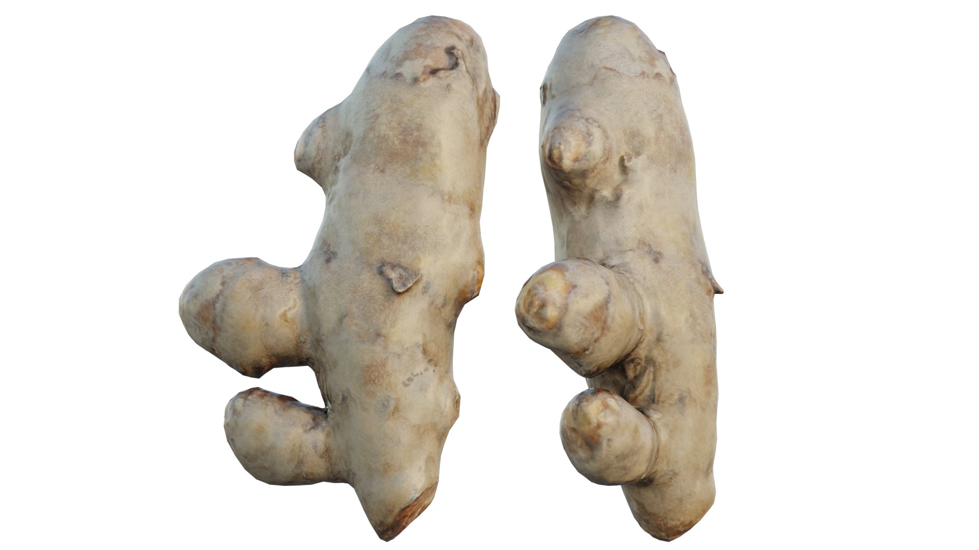 Turmeric Model - TurboSquid 1903310