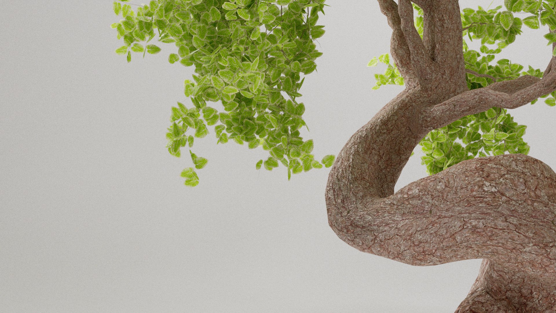 3D Animated Growing Tree Model - TurboSquid 2214382