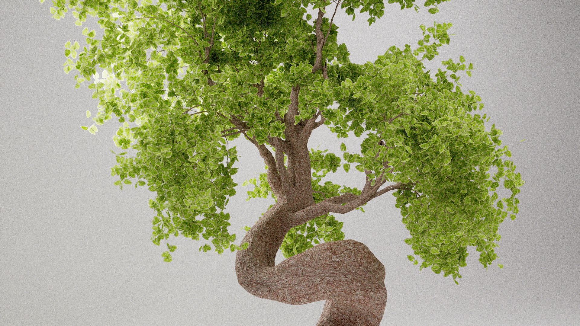 3D Animated Growing Tree Model - TurboSquid 2214382
