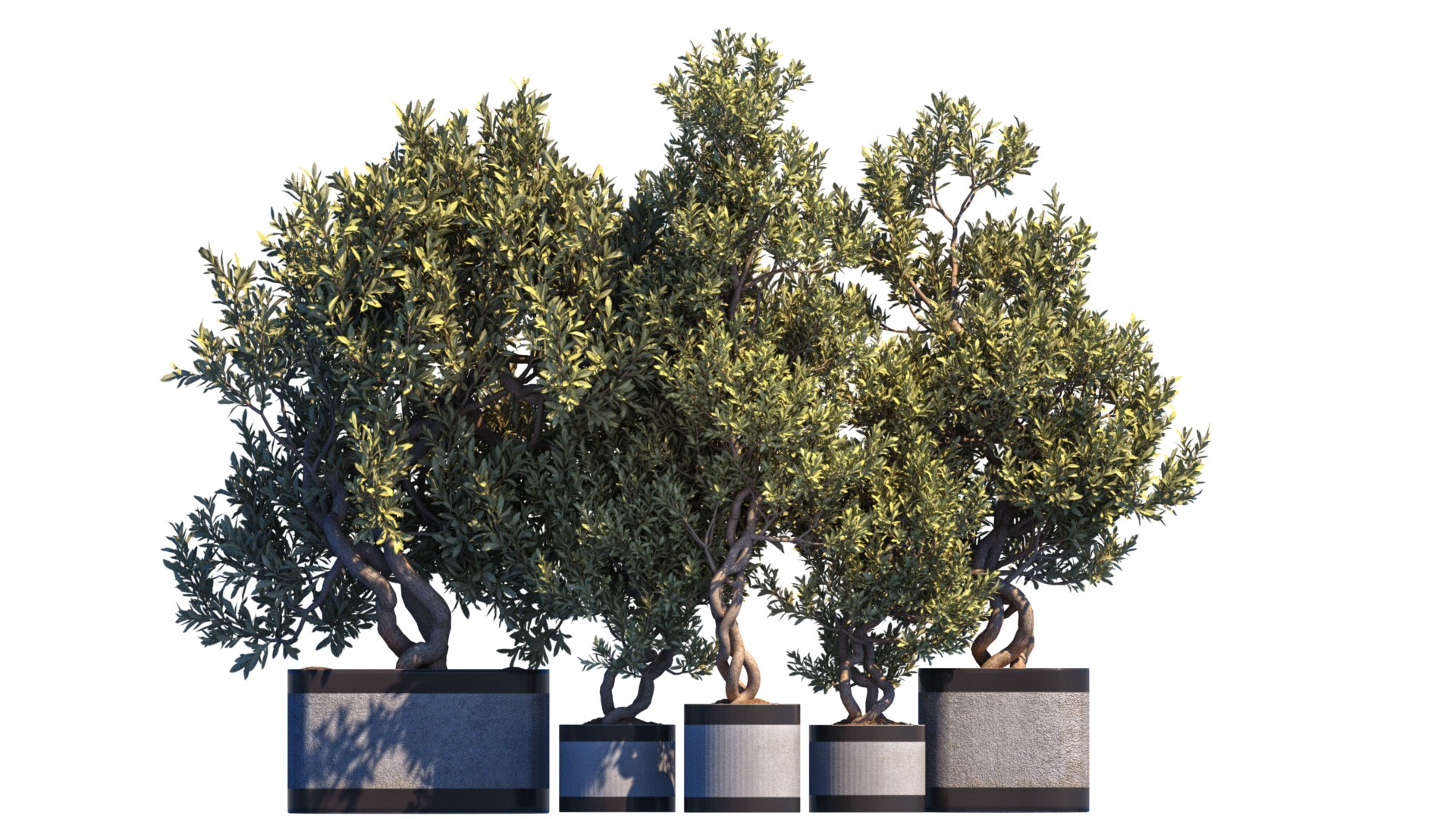 Trees Plants Decor Collection 3D Model - TurboSquid 2220767